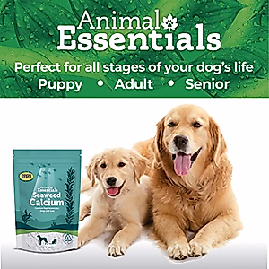 Animal Essentials Seaweed Calcium Supplement for Dogs & Cats, 12 oz, Iceland Seaweed Magnesium, Boron, Zinc