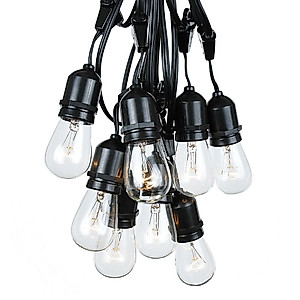 100 Foot S14 Edison Outdoor String Lights – Suspended - Commercial Grade - Backyard Garden Gazebo – Cafe Market String Lights – Vintage Patio String Lights – Black Wire - 50 Clear S14 Bulbs