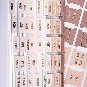 DiverseBee Laminated Bible Tabs (Rose Gold Embossed Lettering), Bible Journaling Supplies, Bible Book Tabs, Christian Gift, 66 Bible Tabs Old and New Testament, Includes 11 Blank Tabs (Pearl)