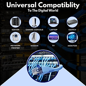 ATS Cables | CAT6 Plenum (CMP) Cable 1000FT | Network Analyzer Test Passed | 23AWG 4Pair, Solid 550MHz Ethernet Cable 10Gigabit UTP, Available in 9 Colors (1000ft, Blue)