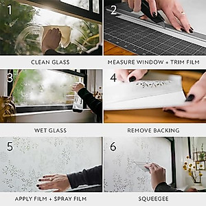 01-0142 Window Film, Summer Magnolia, Self-Static, 24 x 36-in. - Quantity 1