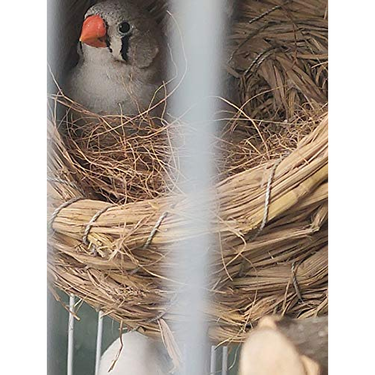 Lucky Interests Coconut Fiber, 9oz. Comfortable Bedding for Small Birds and Animals, Nest Material for Nest Building, Hideouts, Plants and Upholstery