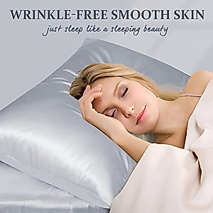 LULUSILK Silvergrey Silk Pillowcase for Hair and Skin, Mulberry Silk Pillow Case with Zipper Closure, Standard Size, Pack of 1