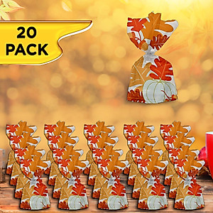 Unique Fall Leaves Cellophane Bags | 20 Count | Autumn, Fall, Thanksgiving and Halloween Party Favor Gift Bag