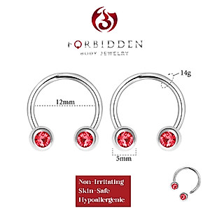 Forbidden Body Jewelry 14G 12mm Surgical Steel Front Facing Red CZ Crystal Nipple Piercing Horseshoe Rings