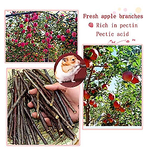 Syhemtya Chinchilla Toys Hamster Chew Toys Guinea Pig Toys Rat Toys Hamster Cage Accessories Small Animal Teeth Care Apple Wooden Accessories Set,Ball Ladder Bridge Swing Roller for Playground