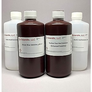 Alcian Blue (pH 2.5) Stain Pack, 1000ml
