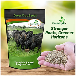 Outsidepride 25 lb. Annual Ryegrass Hay, Forage, & Pasture Seed