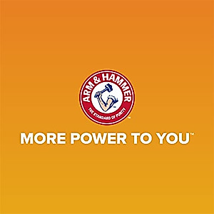 Arm & Hammer Cat Litter Box with High Sides