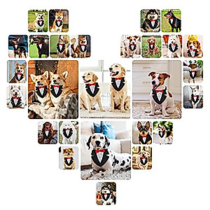 Dog Tuxedo, Formal Tuxedo&Pumpkin Chew Toy Costume Set, Large Dogs Golden Stylish Tuxedo with Adjustable Bow Tie Collar & Bandana Scarf for Christmas Wedding Birthday Party Halloween(Yellow Chew Toys)