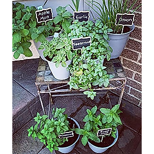 KINGLAKE 20 Pcs Wood Chalkboard Plant Tag, Wooden Stakes Plant Labels Blackboard Garden Tags