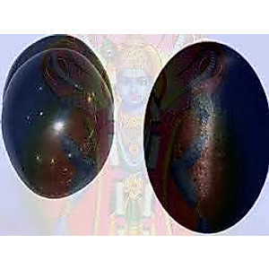 Shaligram Puja Item GANDAKI River Natural Black Stone Shaligram Shila for Pooja