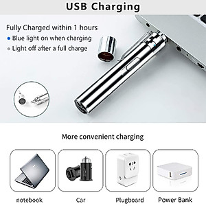 TEFIRE 2 Pack Laser Pointer Cat Toy 7 Adjustable Modes Red Light to Amuse Pets Blue Light Can Check Money with Small Torch USB Rechargeable Metal Material