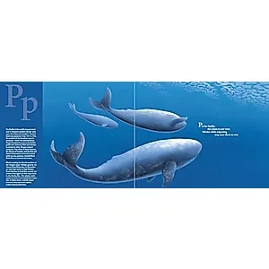 B Is for Beaver : An Oregon Alphabet (Alphabet Series)