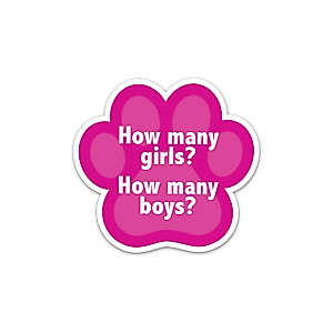 Puppy Surprise 9.5-inch Small Plush KiKi, Puppy Stuffed Animal, Plushies, Pink, Pretend Play, Kids Toys for Ages 3 Up by Just Play