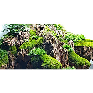 Lifegard Aquatics Aquascaping Dragon Ohko Rock 18 Lb Kit – Decorative Aquarium Rocks, Fish Tanks – 18 Lbs Kit