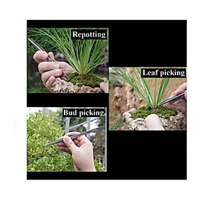 Cynamed Bonsai Gardening Tweezer with Blade Spatula 8-1/4in (210mm) Stainless Steel for Micro Landscape, Diamond Painting, Electronic Components (Stainless Steel, Straight Blade)