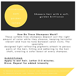 Watercolors Semi Permanent Color Depositing Shampoo. Sulfate & Paraben Free to Maintain & Enhance Hair Color 8 fl oz - GOLDEN MIST