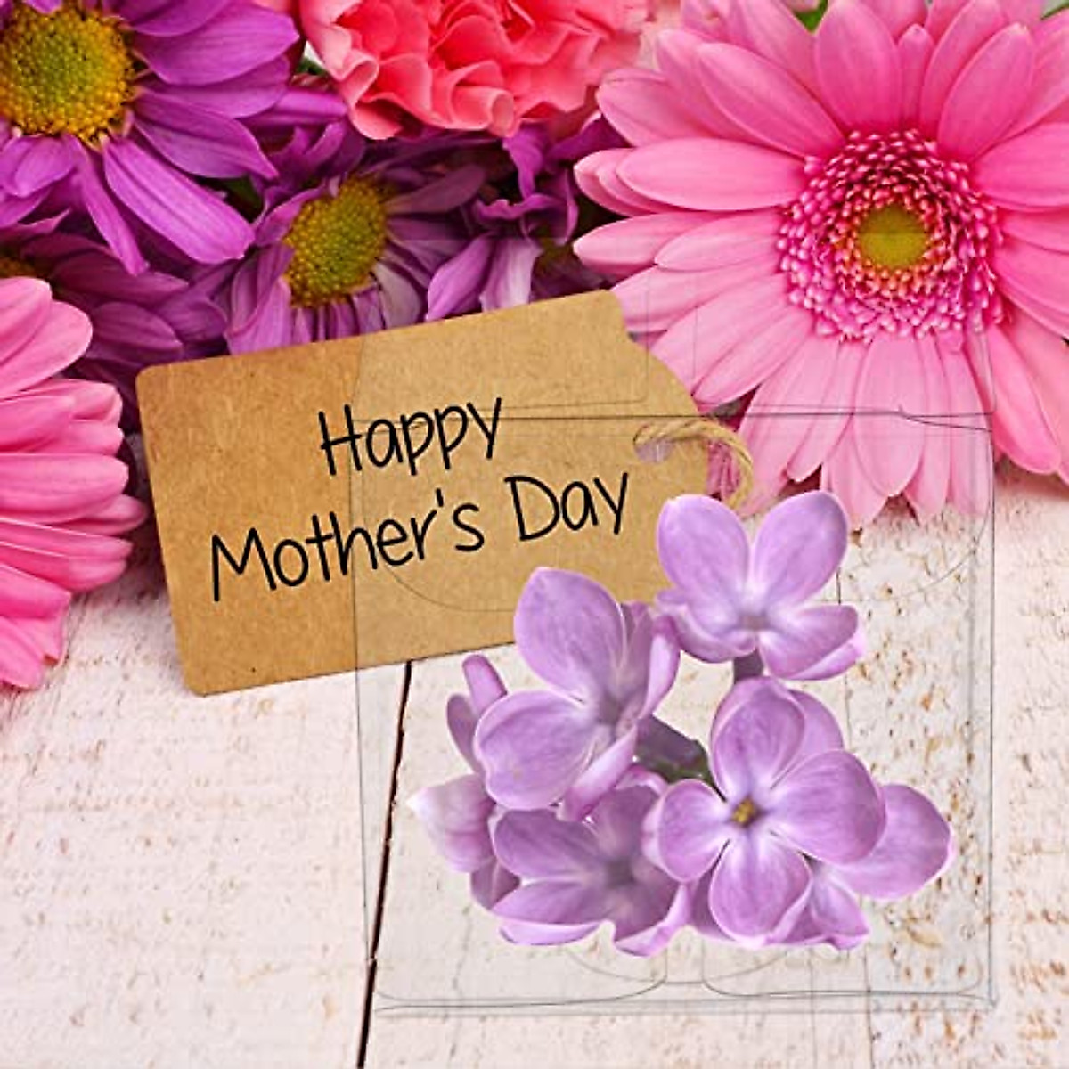 Cabilock 50Pcs Clear Favor Boxes PVC Plastic Packing Box Transparent Gift Box Macaron Candy Cube Boxes for Wedding Party (5x5x5cm)