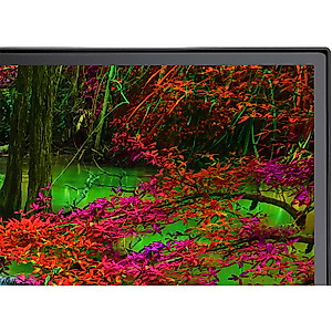 NEC 27” Business-Class Widescreen Desktop Monitor w/Ultra-Narrow Bezel and IPS Panel