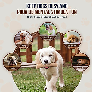 GOWGOW Coffee Wood Dog Chew Stick for Small Dogs, 7.5'', 2 Pack Size S - 100% Natural Chew Toys - Teeth Cleaning, Stress Relief, Dog Health - Organic