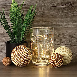 Feit Electric Fairy Light LED 6 Foot, Cooper Wire Light Strand, AA Battery or USB Powered