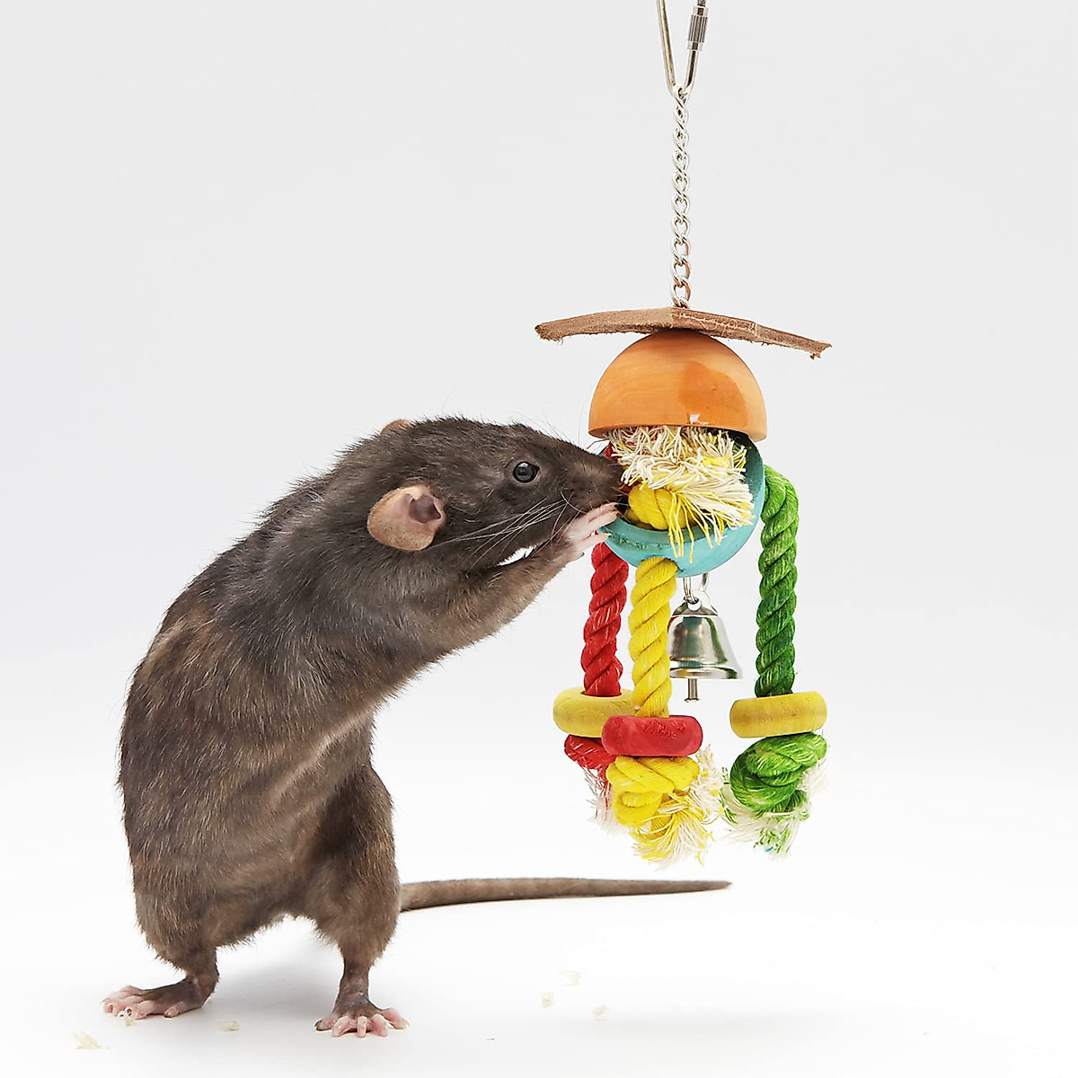 Cage Enhancement Set - Interactive Climbing Foraging Natural Branch Perch Cage Accessory Toy Bundle - for Sugar Gliders, Rats, Ferrets, Hamsters, Squirrels, Parrots, Birds, Marmosets, Degus, Monkeys