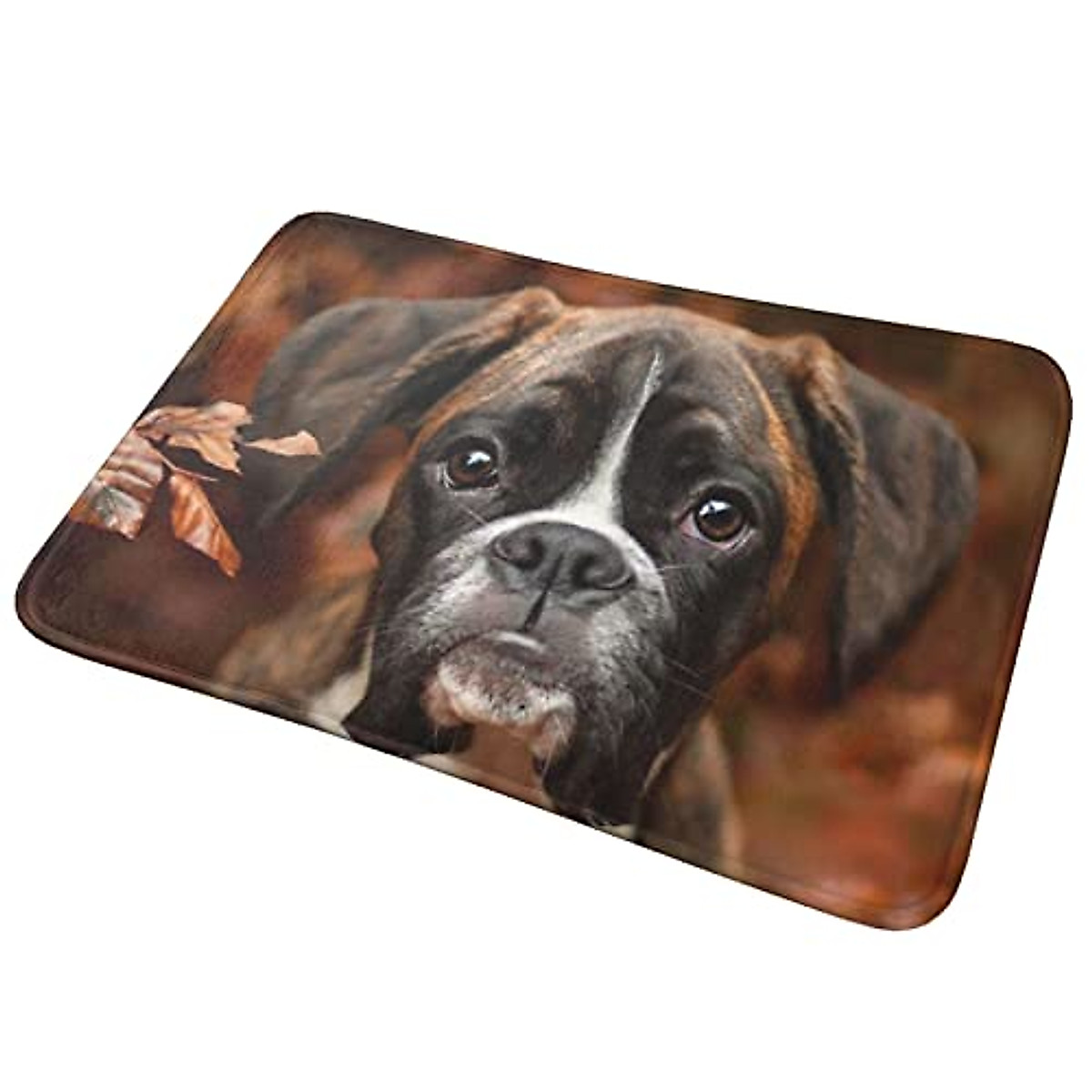 Yuwznsx Boxer Dogs Autumn Door Mat Rugs Indoor Outdoor Non Slip Entrance Front Door Doormat for Bathroom/Kithchen/Bedroom/Living Room