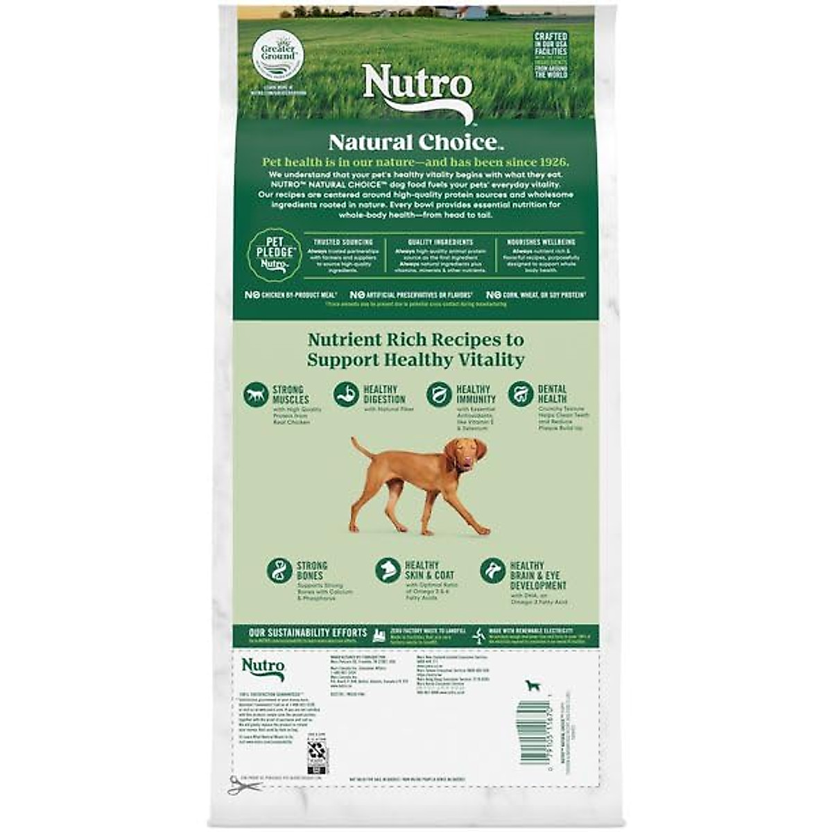 Puppy Dry Dog Food, Chicken and Brown Rice Recipe, 5 Lbs, Made with The Finest Ingredients from Around The World