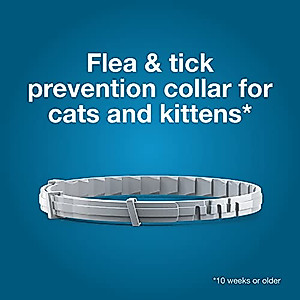Seresto Cat Vet-Recommended Flea & Tick Treatment & Prevention Collar for Cats | 8 Months Protection