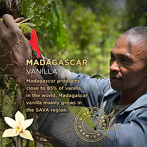 SAVA Madagascar Vanilla Extract – 100% Pure Vanilla Extract from High-Quality Madagascar Vanilla Beans – No Sugar Added Gourmet Vanilla Extract – Baking Supplies (4 Oz)