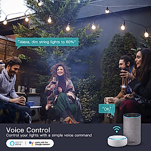 [New Version] TREATLIFE Outdoor Smart Dimmer Plug, 2 Individual Control Sockets, 600W, Compatible with Alexa, Google Home, IP64 for Outdoor String Lights, Dusk to Dawn, 2.4Ghz WiFi Only