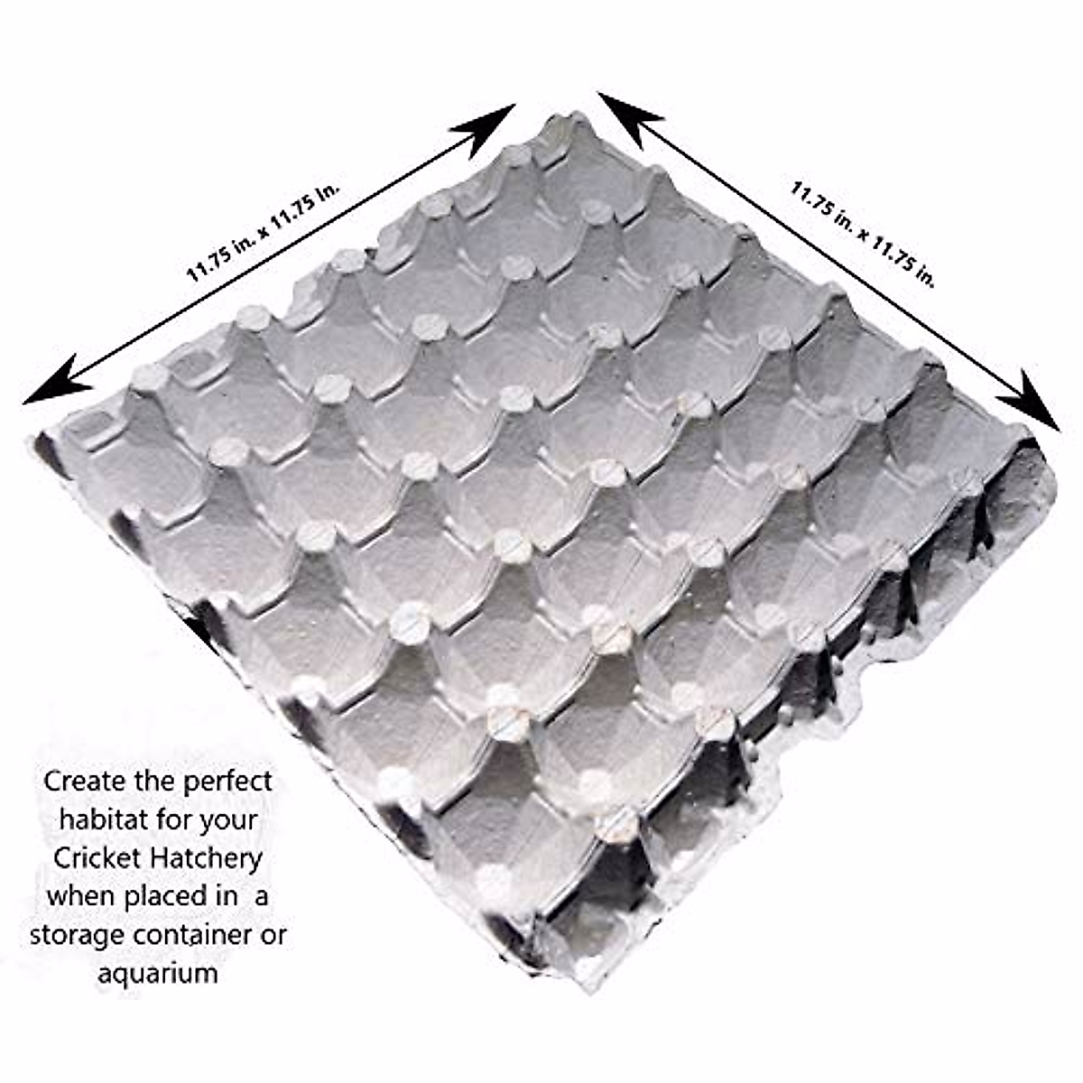 G&T Country Living Dubia Roach Colony Starter Kit with a Pound of Feeder Insect Chow for Earthworms, Hissing Cockroaches, Breeding Insects, Gut Loading, for Reptiles