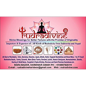 Rudra Divine Shaligram Mala in Pure Silver/Original shaligram mala / 54 + 1 Beads mala / 6 mm Beads