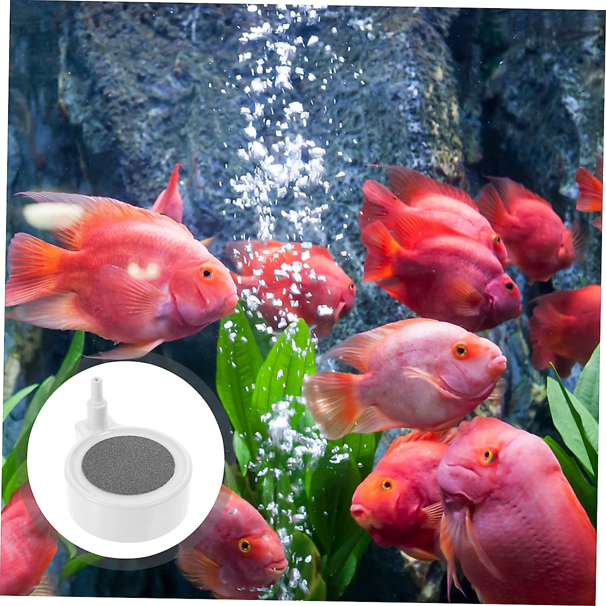 balacoo Nano Air Stone Aquarium Oxygen Aerator Bubble Diffuser Aquarium Accessories Co2 Regulator Round Air Wall Round Fish Tank Fish Tank Supply Aeration Pump Nano Material Hydroponics