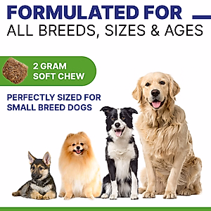 PAWSENTIAL Allergy Relief Dog Chews (240 Immune Treats) - Omega 3 + Colostrum + Probiotics - Itchy Skin Relief - Seasonal Allergies - Anti-Itch & Hot Spots - Immune Supplement - Made in USA