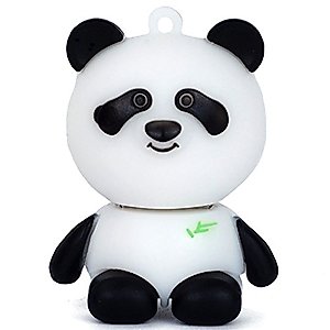 Aneew 16GB Pendrive Cartoon Cute Animal Panda Model 2.0 USB Flash Pen Drive Memory Thumb Stick Storage Data Photograph Graduation School Gift