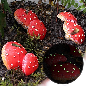 NUOLUTH Glow-in-The-Dark Mushroom, Lawn Ornaments, Set of 3 Mushroom Shelf Wall Decor - Mushroom Tree Decorations Outdoor, Mushroom Statue Figurines, Fairy Garden Decor Accessories