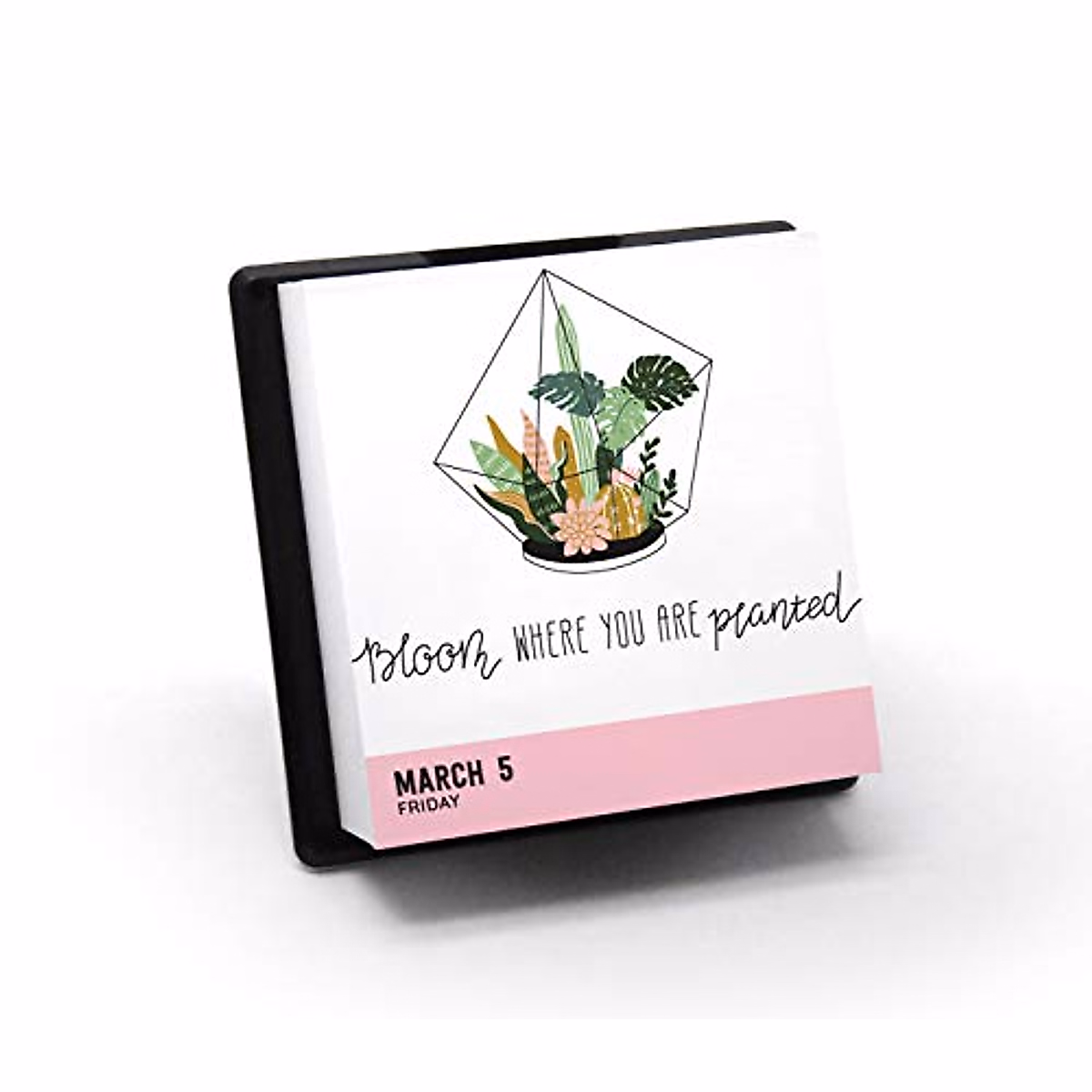 2021 Instant Happy Notes Boxed Calendar: 365 Reminders to Smile and Shine! (Happiness Daily Calendar, Inspirational Gift for Women, Desk Gift for Him)