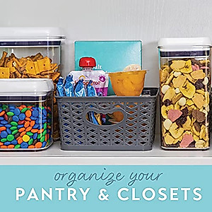 LARQUE Plastic Storage Bins, 6 Pack, 10.2 in x 7.3 in x 3.9 in - Small Weave Organization and Storage Bins, Perfect for Kitchens, Pantries, Craft Rooms Bookshelves and More