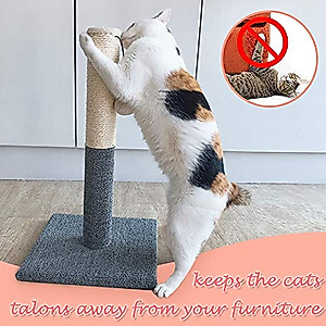 Barelove Tall Cat Scratching Post, Natural Sisal Rope Kitty Scratch Posts with Interactive Hanging Plush Ball Toy, Durable Cat Claw Scratcher Pole Tree Tower Heavy Base for Indoor Kittens