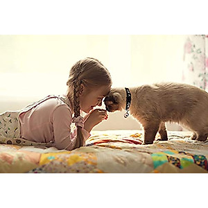 2PCS Breakaway Cat Collars with Bell Moons Stars Cute Kitty Adjustable Safe Kitten Collars with Pendant Glow in The Dark(Black&Purple)