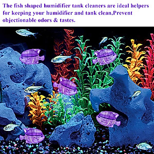 Replacement Humidifier Tank Cleaner for WARM/COOL Mist Humidifiers/Drop/Droplet/Adorable/Tanks and Fish Tanks - 12 Pack