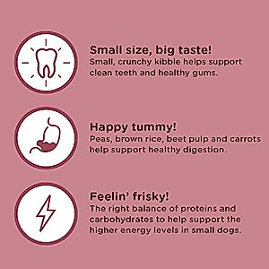 Rachael Ray Nutrish Little Bites Dry Dog Food, Chicken & Veggies Recipe for Small Breeds, 6 Pounds