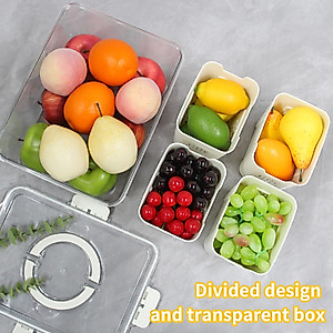 Fruit Storage Containers for Fridge, Fridge Organizer Containers for Food, Fruit Containers with Lid, Divided Serving Tray with Handle, Kitchen Organizers and Storage for Fruit Berry Veggie Vegetable
