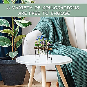 LESES Plant Propagation Stations Desktop Air Plant Terrarium, Glass Planter Bulb Glass Vase with Wood Stand Propagation Station for Hydroponics Plants Home Office Garden Decor