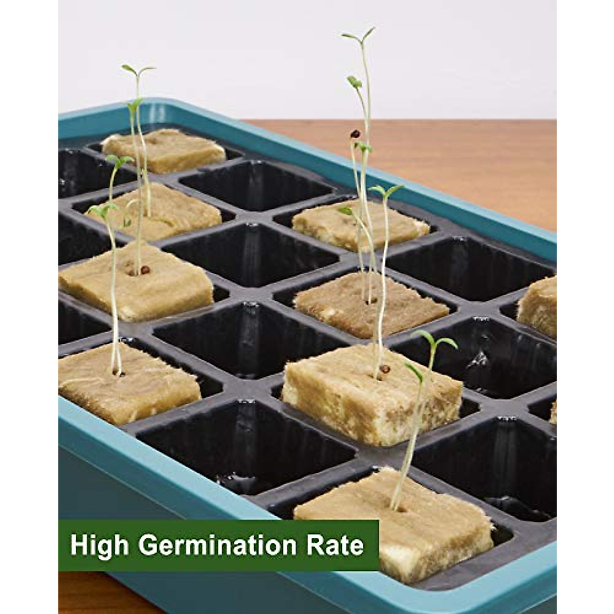 BIOMAND 1.5” Rockwool Starter Plugs for Hydroponics, Rockwool Grow Cubes, 2 Sheets of 49 Plugs, 98 Plugs Total