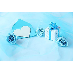 Tulle Fabric Roll | 6” by 100 Yards | Polyester Spool for Crafts Decorations Tutu Weddings Costumes Skirts Parties Gift Bow and More – by Craft Forge (Turquoise)