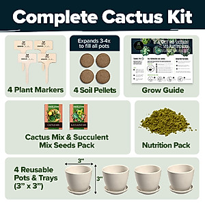 Succulent & Cactus Seed Kit for Planting – [Enthusiasts Favorites] Premium Cactus & Succulent Starter Kit: 4 Planters, Drip Trays, Markers, Seeds Mix, Soil - DIY Gift Kits (Original Edition)