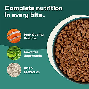 Salmon, Sweet Potato & Carrot Dry Dog Food, Grain Free, High Protein, All Natural, Promotes Healthy Joints, Coat & Immune Function, No Artificial Fillers, 4 Lb. Bag